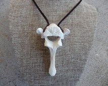 Popular items for real bone necklace on Etsy