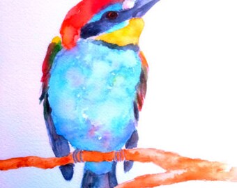 Unique colorful bird art related items | Etsy