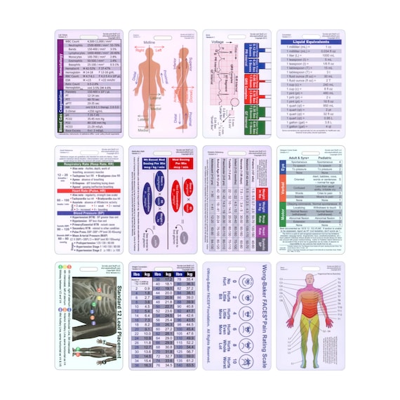 Complete Nurse Vertical Badge Card Set 12 Cards by scrubsandstuff