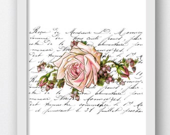 Cabbage roses print | Etsy