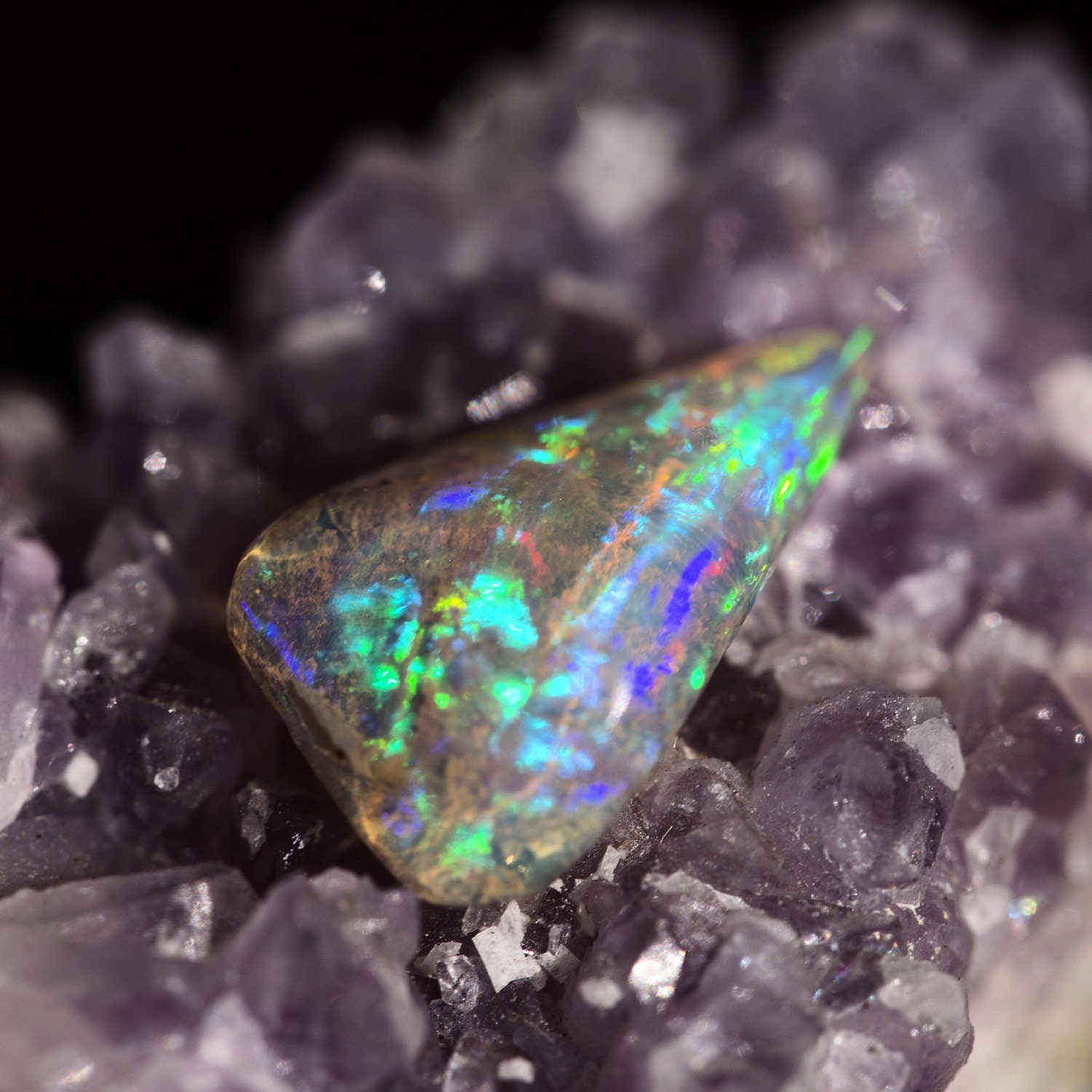 Opal Clam Shell Polished Amazing fossil very beautiful