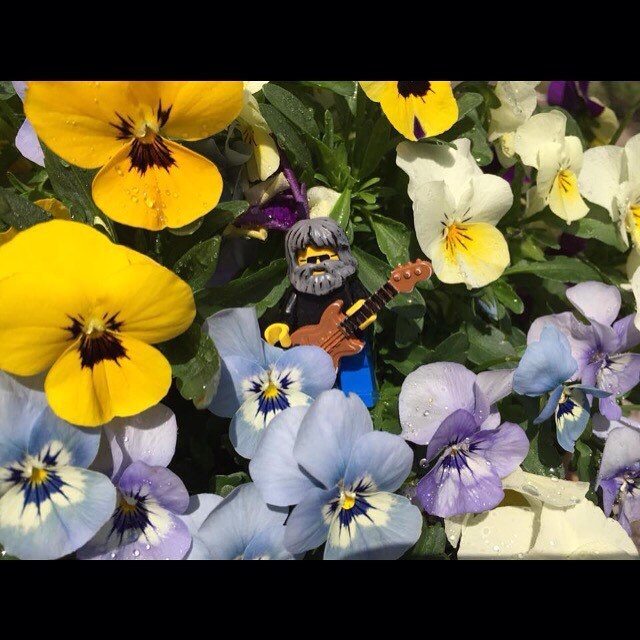 GratefuLegos Phish Grateful Dead & Jamband Legos by GratefuLegos