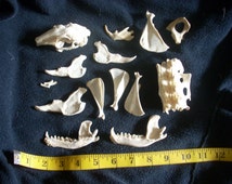 Popular items for small animal on Etsy