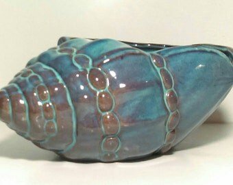 Conch shell planter | Etsy