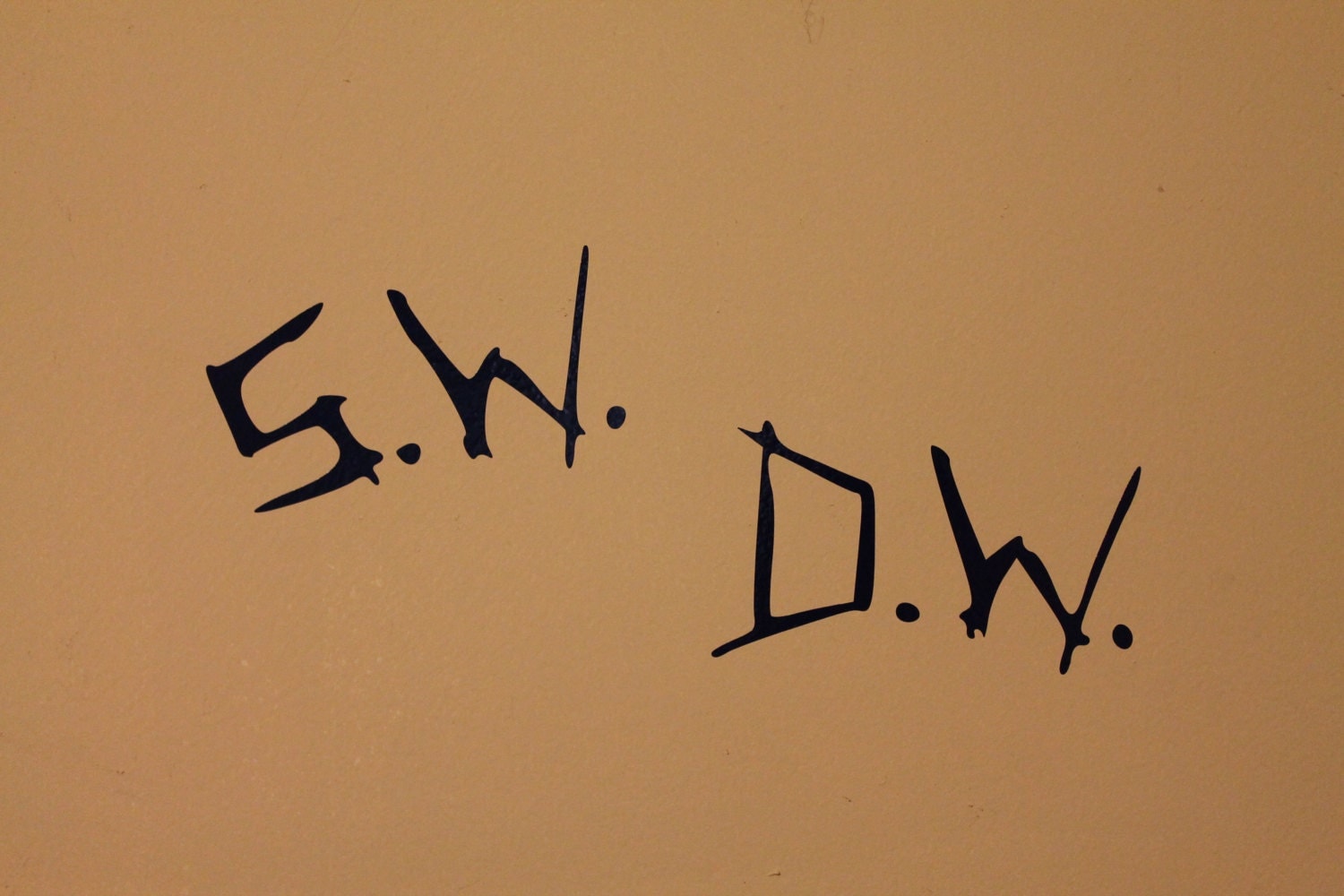 S.W. D.W. Supernatural Decal