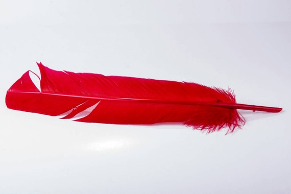 Red Quill Pen by CalligraphCrafts on Etsy