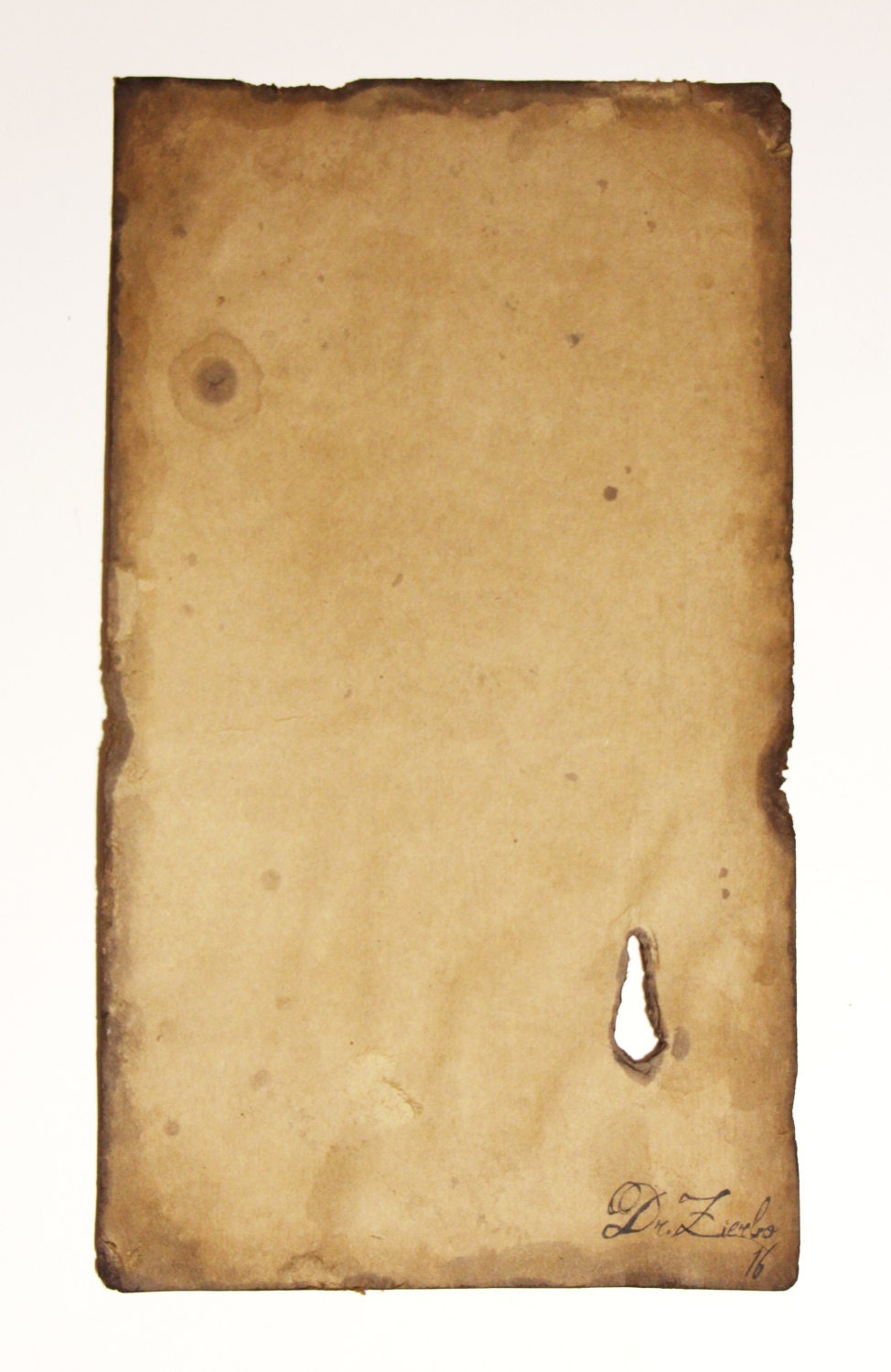 Conjoined twins skeleton Original drawing Medical by DrZierbo