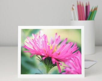 flower photography prints note cards by MaryFosterCreative on Etsy