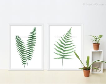 Watercolor fern | Etsy