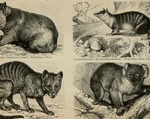 Unique tiger plates related items | Etsy