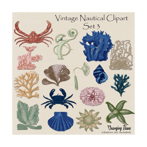 Nautical Clip Art Clipart Vintage Ocean Beach Floral Plants