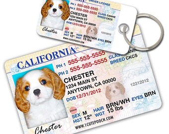 Dog driver license | Etsy