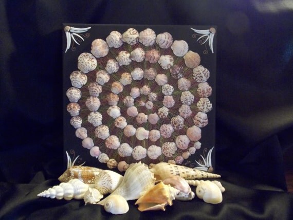 Large Seashell Mandala Seashell Art Mandala Sanibel Pink
