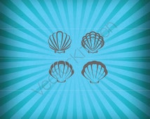 Popular items for sunrise shell on Etsy