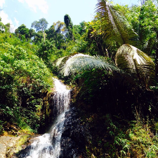 ALL THINGS NATURAL by AllThingsNaturalFr on Etsy