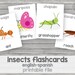 Printable kids insect flashcards english-spanish by DulsStuff