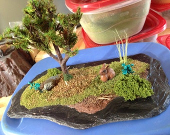 Nature diorama | Etsy