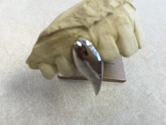 Items similar to One 10k wolf tooth style fang on Etsy