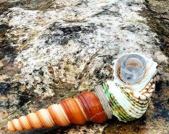 Seashell pipe | Etsy
