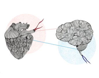 Heart brain drawing | Etsy