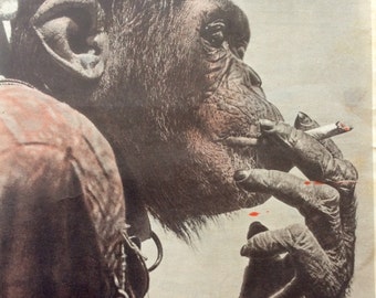 Smoking monkey | Etsy