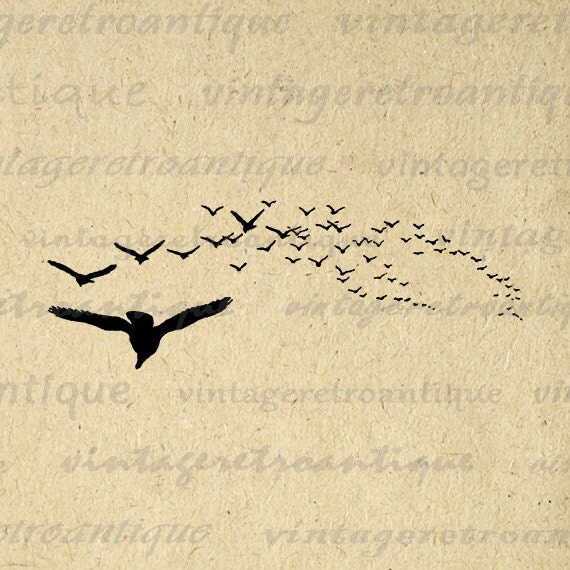 Birds in Flight Image Graphic Digital by VintageRetroAntique