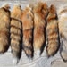 Red Fox Tail by ClearCreekTrading on Etsy