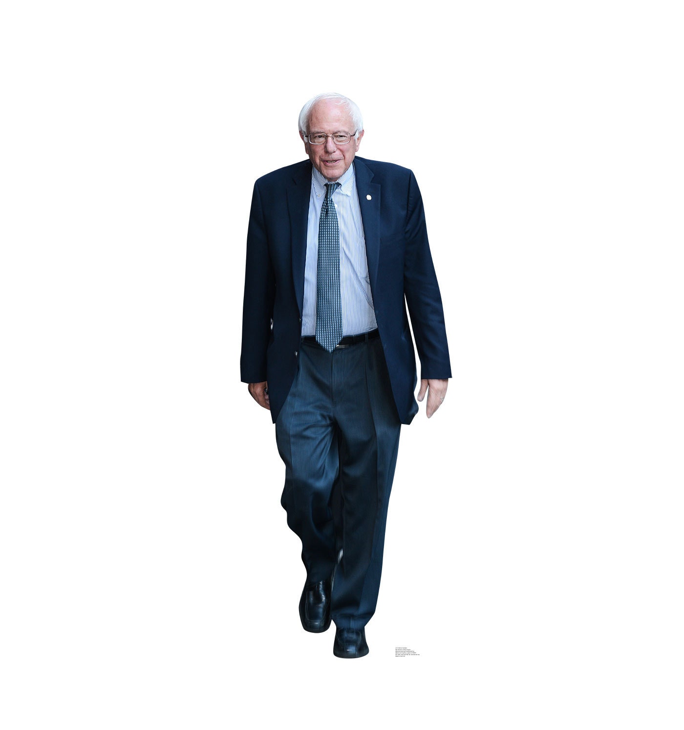 Bernie Sanders Cardboard cutout life size stand up: 2016 for