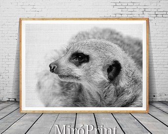 Meerkat art | Etsy