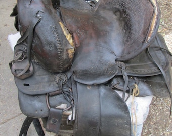 Arabian horse tack | Etsy