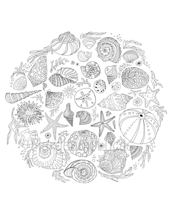 Items similar to Seashells Adult Coloring Book Page Digital Download on ...