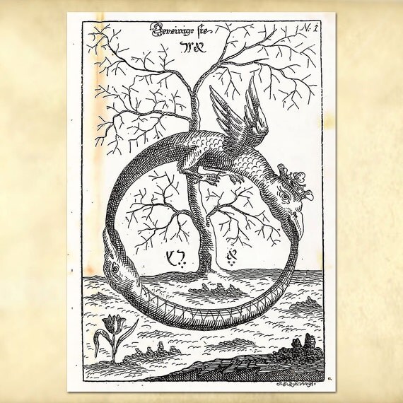 Ouroboros dragons illustration from old ancient alchemy book