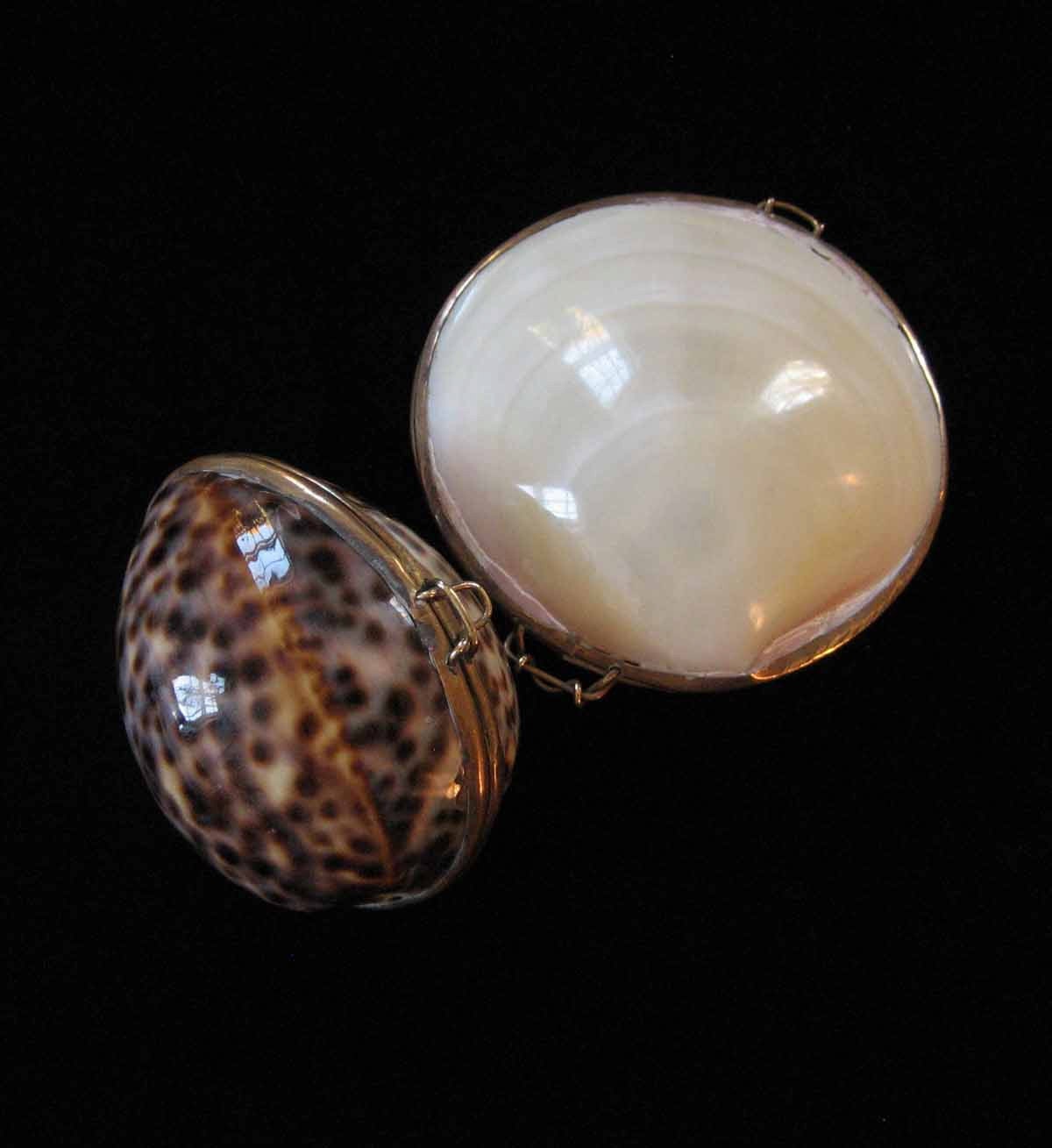 Shell Boxes, Brass Edge, Set of Two, Leopard Shell Cowrie – Haute Juice