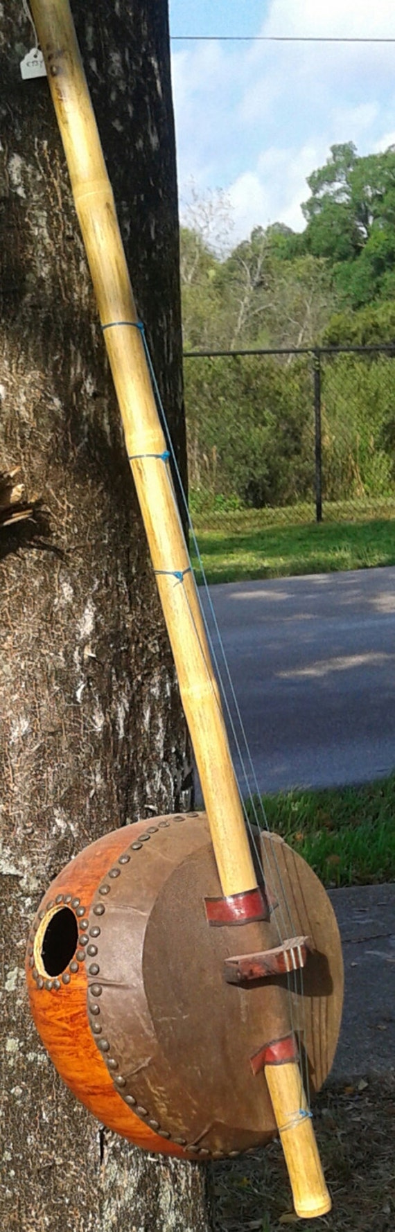 Ekonting West African-style gourd-bodied lute medium-large