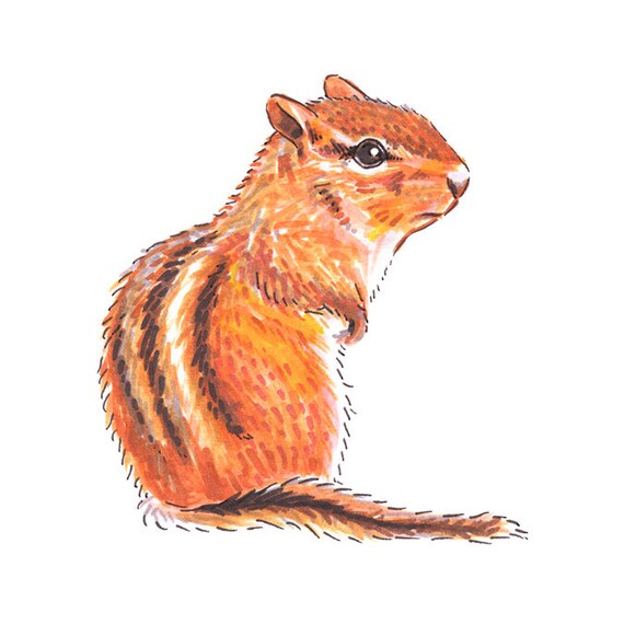 Chipmunk Print by humbledino on Etsy