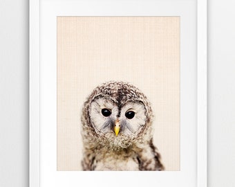 Baby owl print | Etsy