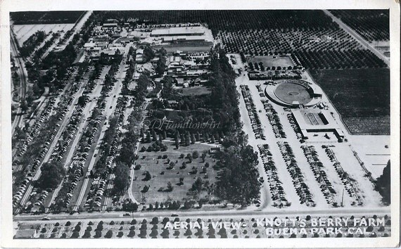 Digital Instant Download of Vintage Knott's Berry by DHamiltonArt