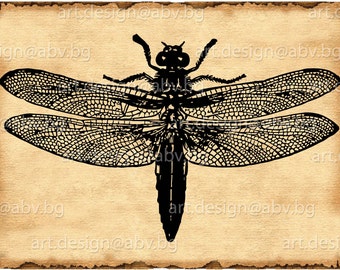 Dragonfly svg | Etsy
