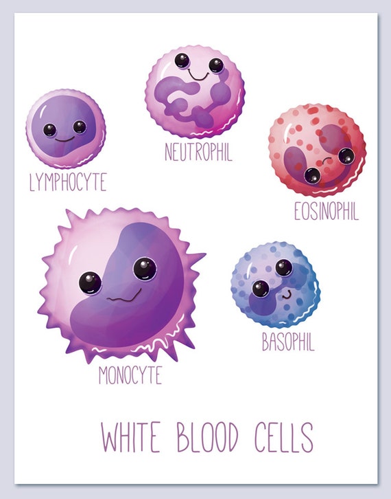 White Blood Cells Wall Art Print Biology Cute Fun White Blood Cells Wall Art Print Biology Cute Fun