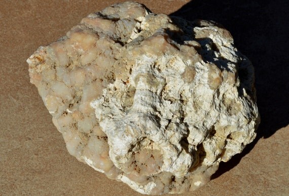 Items similar to Large Whole Indiana Fossil Geode, Giant Geodized ...