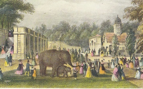 Victorian London Zoological Gardens Zoo elephant animals