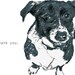 Brooke Thank You Card by CardsForCanines on Etsy