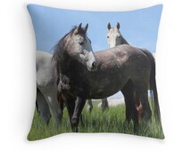 Popular items for horse pillow on Etsy