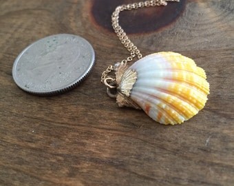Sunrise shell necklace | Etsy