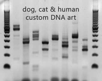 Custom DNA Art For People Dogs & Cats by DareDNA on Etsy
