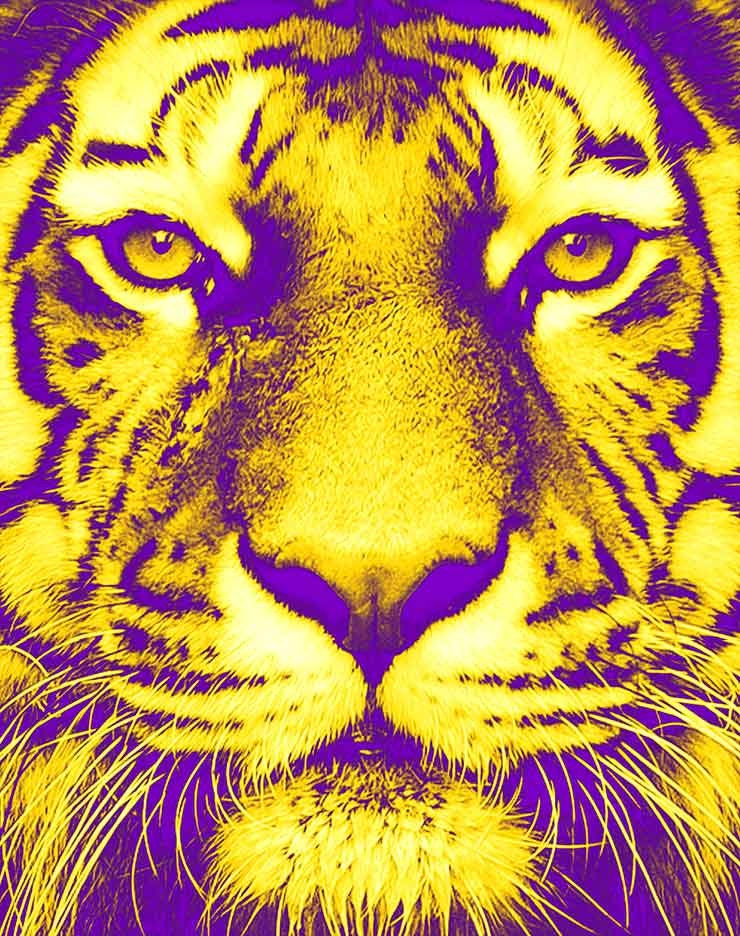 LSU Tigers poster LSU football poster LSU tigers print tiger