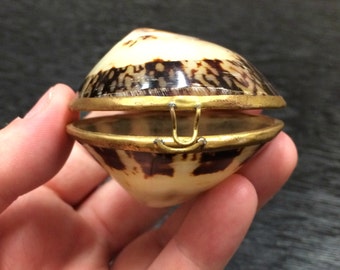 Unique sea shell art related items | Etsy