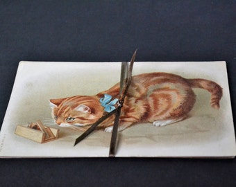 Vintage cat postcard | Etsy