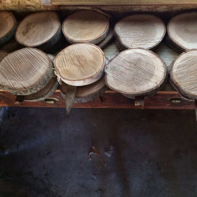 reclaimed fallen trees meet hand lettering by ThePaintedPineCo