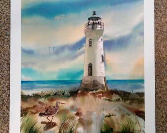 Broad-Ribbed Cardita Seashell Owl